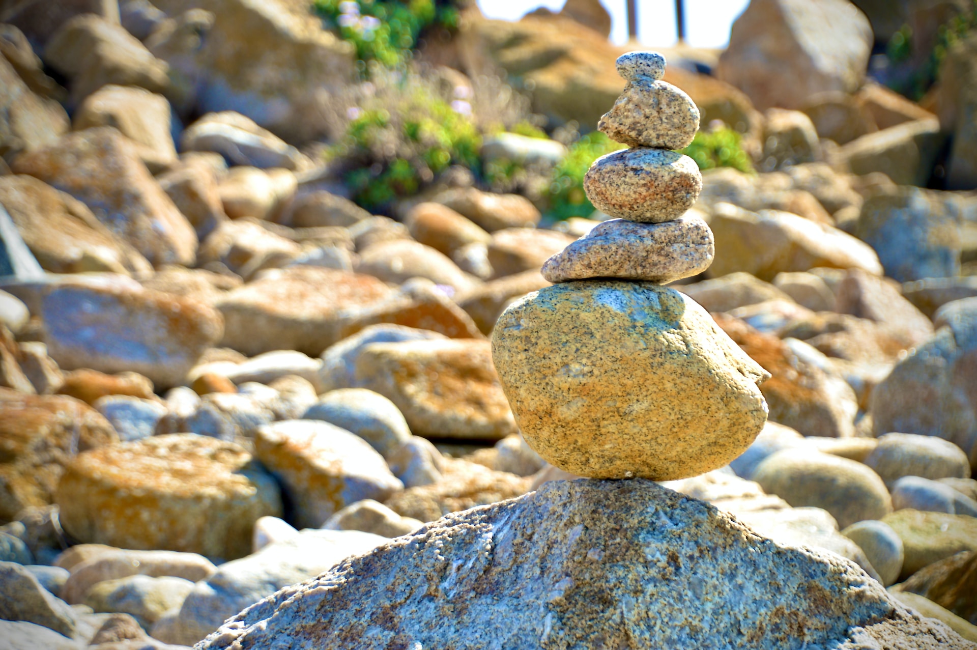 11 Affirmations To Cultivate Peace In Your Life | Taylor Cares